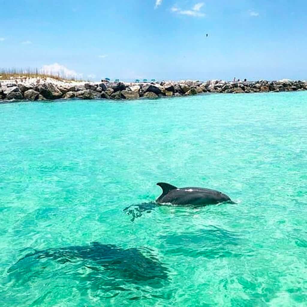 Shop - Ticketing for Less