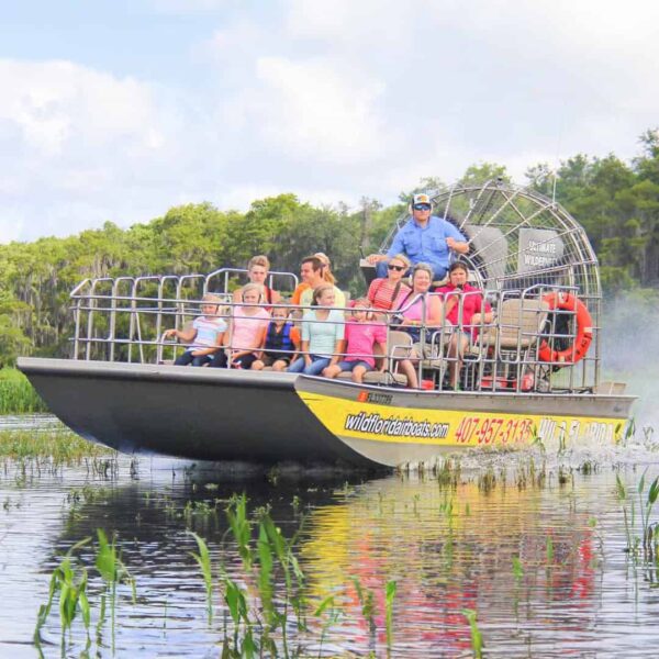 Wild Florida - Airboat Tour | Ticketing For Less