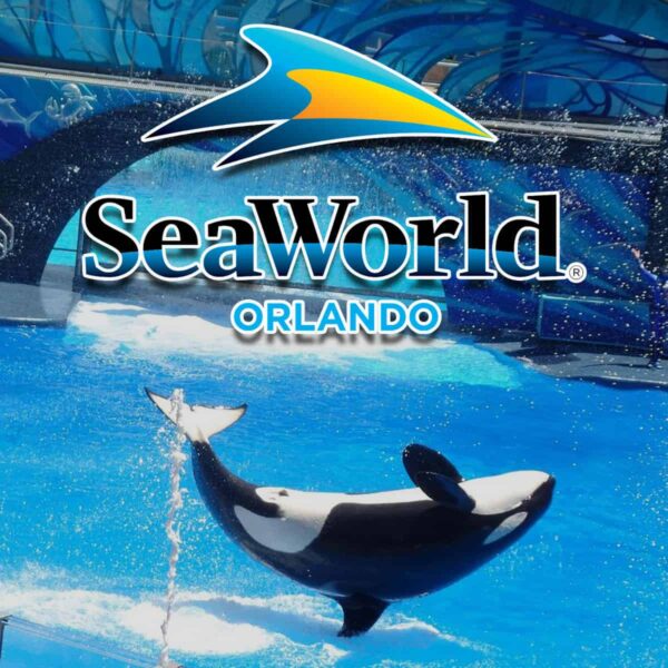 SeaWorld Orlando | Ticketing For Less