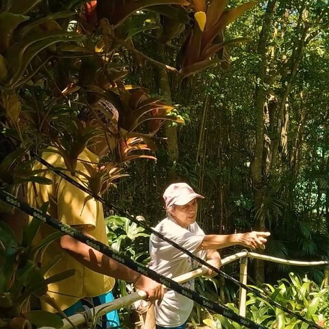 Explore STT - Island Jeep Tour - Ticketing for Less